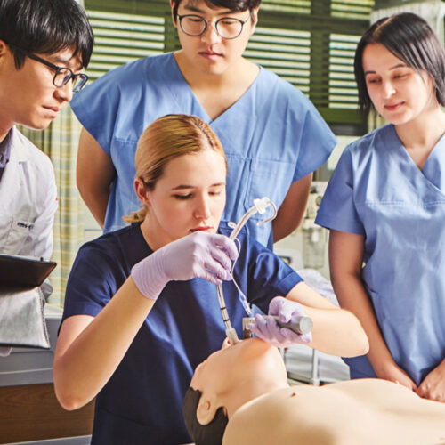Difficult Airway Management Training Simulator – BT GLOBAL