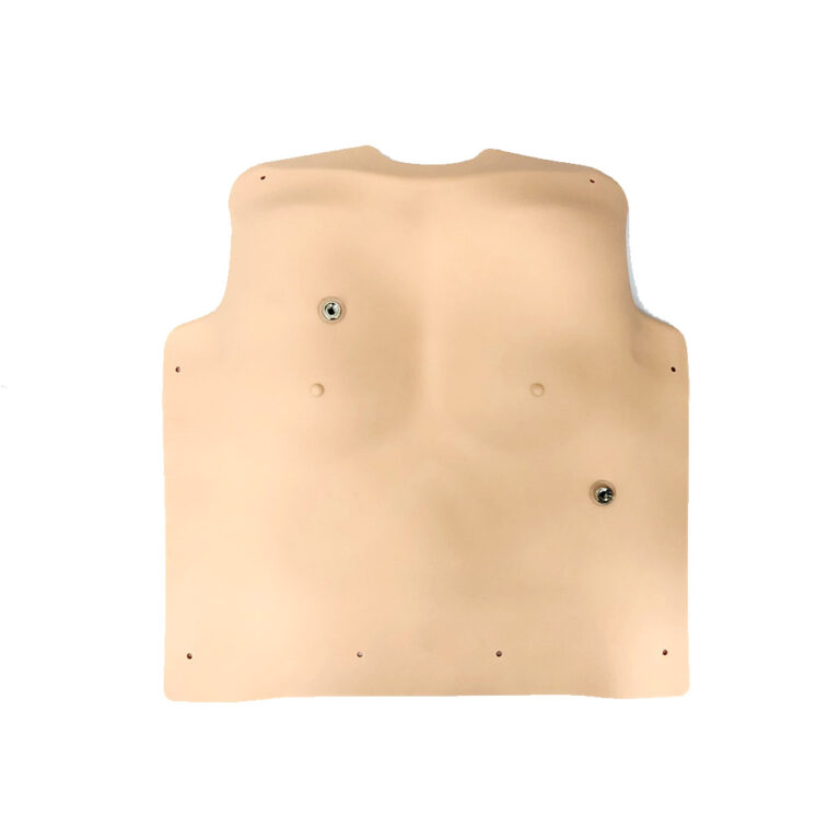 Advanced BLS Simulator – BT GLOBAL