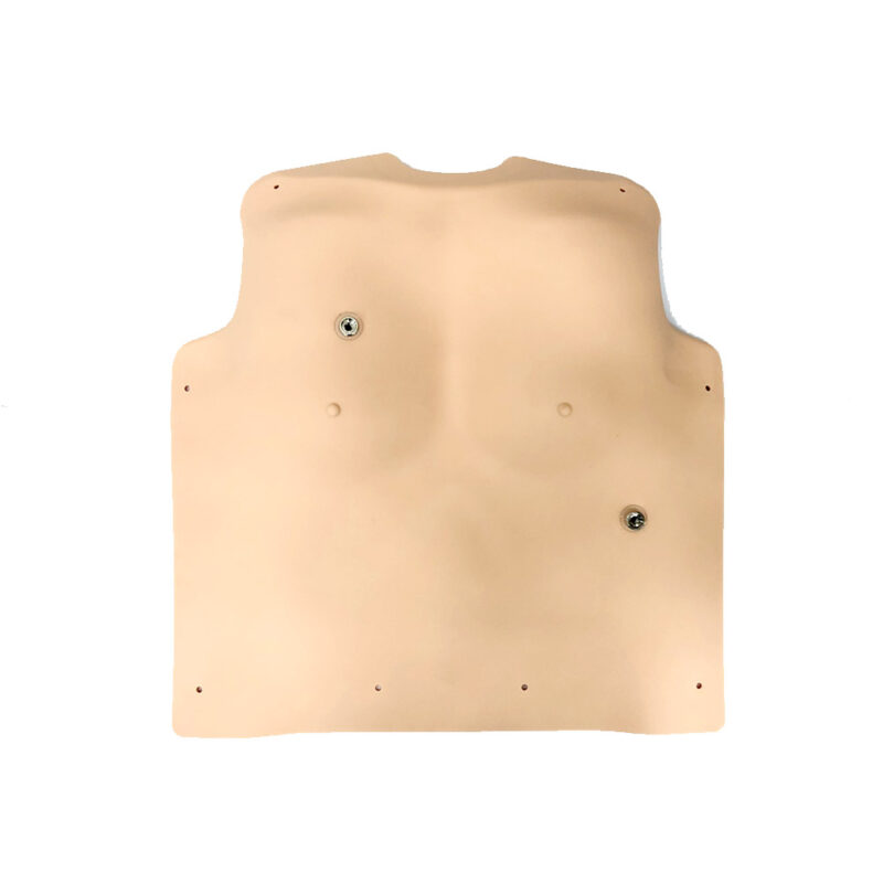 Advanced BLS Simulator – BT GLOBAL