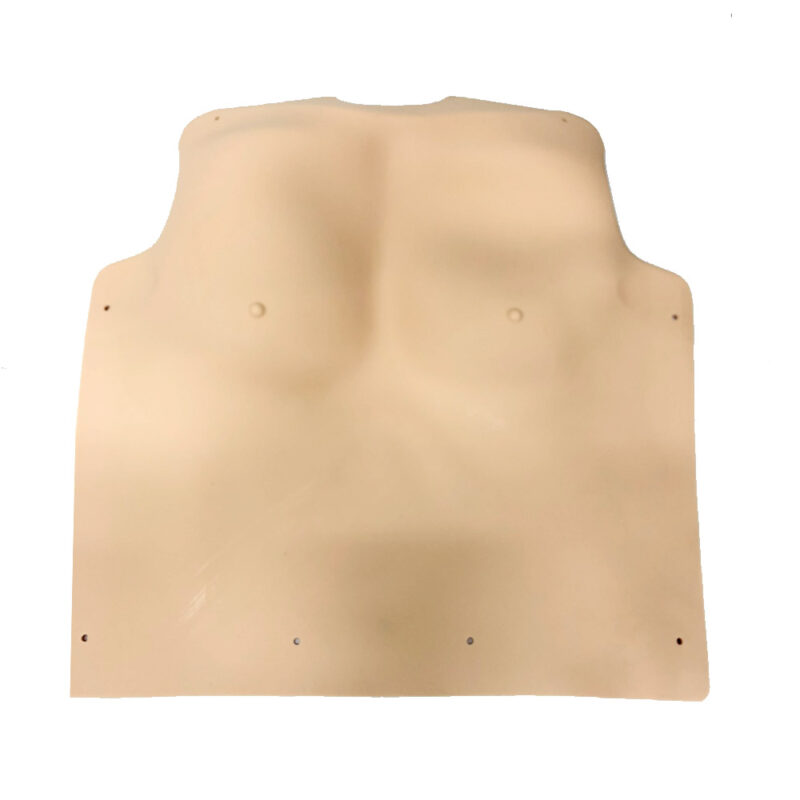 Chest Skin (BT-SEEM2, BT-SEEM-P) – BT GLOBAL