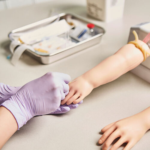 Advanced BLS Simulator – BT GLOBAL