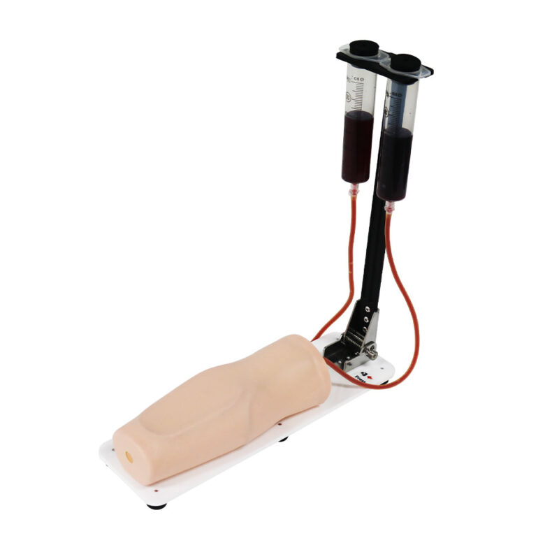 Intravenous Injection Training Simple Model – BT GLOBAL