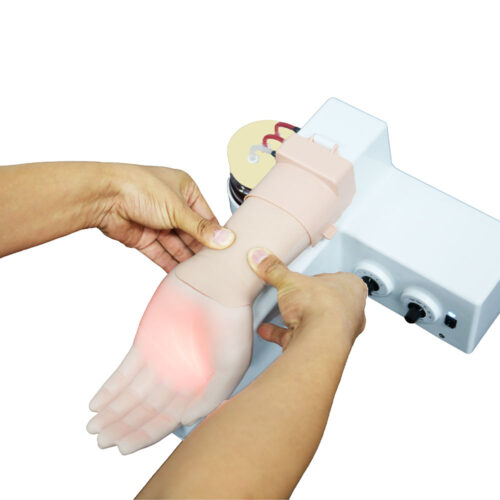 Arterial Puncture Training Model – BT GLOBAL