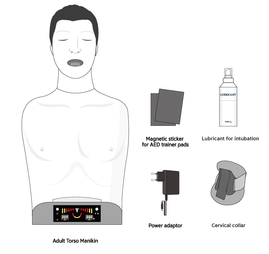 CPR & Airway Management Training Model – BT GLOBAL