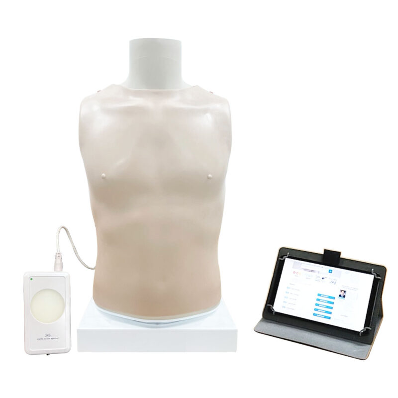 Auscultation Training Model – BT GLOBAL